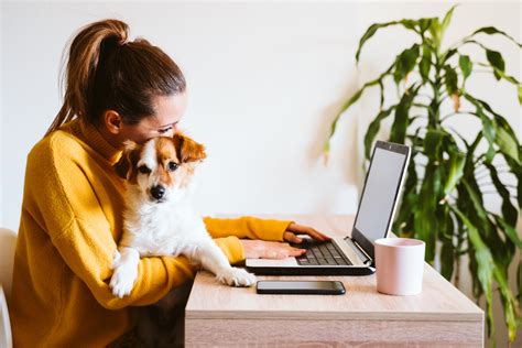 5 Tips Para Entretener A Tus Mascotas Durante La Cuarentena Kanat