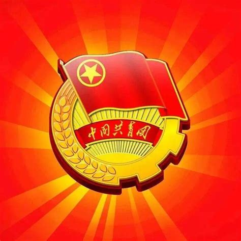 团团 打假”：不得违规使用团旗团徽团歌！组织图案仪式