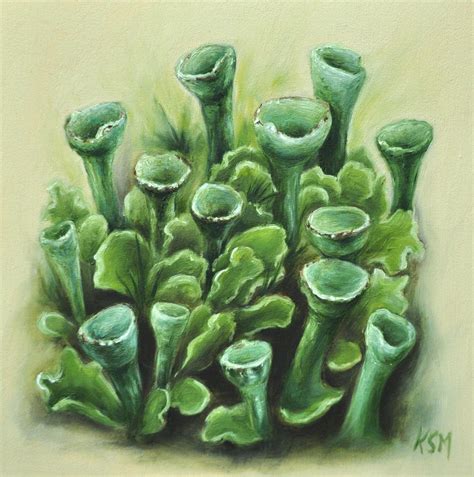 Fine Art Limited Edition Pixie Cups Archival Reproduction Print Etsy