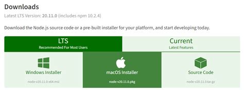 Configurações Iniciais Do Nodejs · Portal Micilini