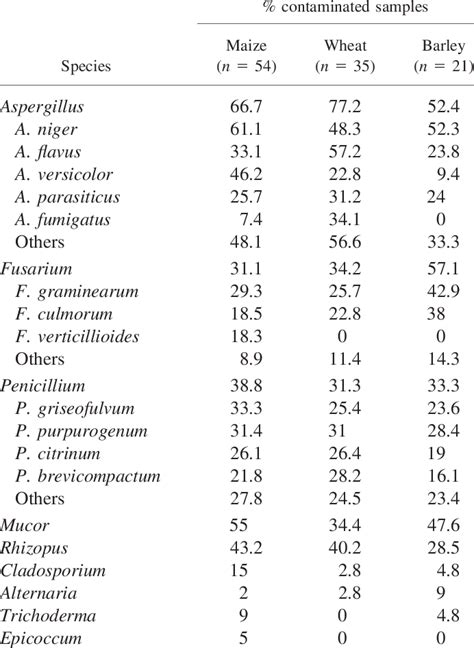 Fungal Contamination Of Maize Wheat And Barley Samples Download