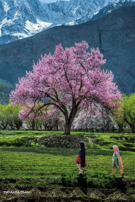 Places To Visit In Skardu Gilgit Baltistan Artofit