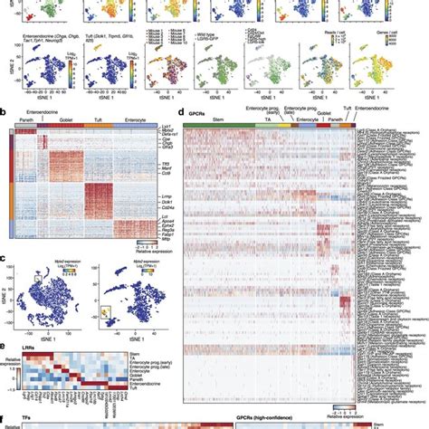 Identifying Intestinal Epithelial Cell Types In Scrna Seq Data By