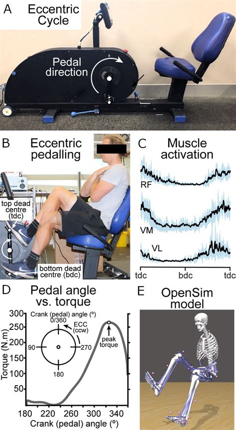 A Semi Recumbent Eccentric Cycle Ergometer B Leg Pose At The Top