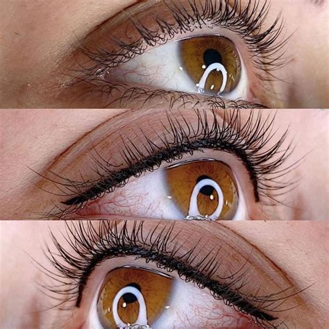 ‎فیبروز میکروبلیدینگهاشورشیدینگمرجان جعفری‎ On Instagram‎ ֍↠֍🔴