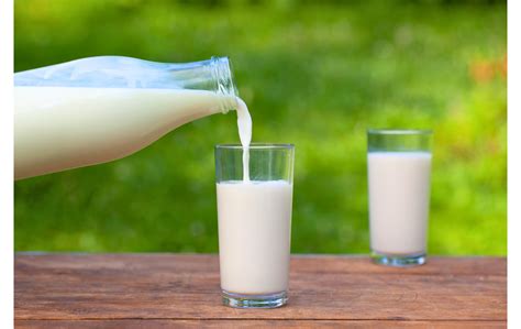 ラクトフェリン 株式会社jfcコーポレーション