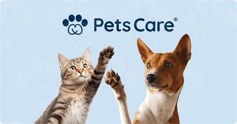 Can A Bobcat Kill A Human Risks Myths And Facts