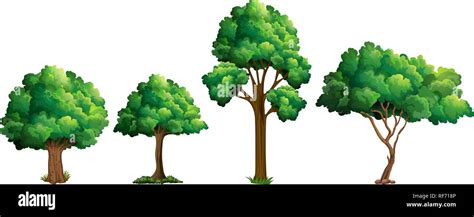 Set Of Different Tree Design Illustration Stock Vector Image And Art Alamy
