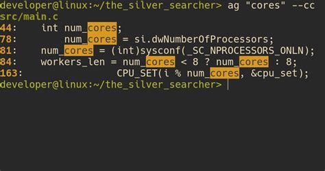 install the silver searcher ag on linux snap store