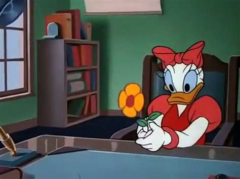 Donald Duck And Daisy Donalds Dilemma Video Dailymotion