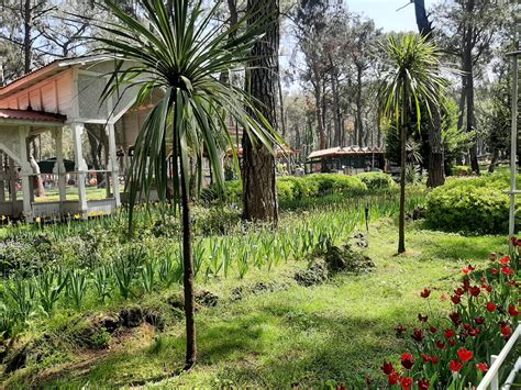 Топ 10 скрытых жемчужин Анталии места которые стоит посетить МАМА на МОРЕ Турция Дзен