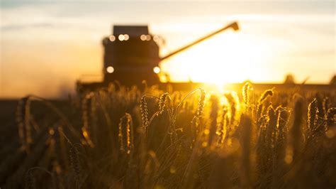 Según Un Informe De La Sociedad Rural Argentina El último Aumento Del