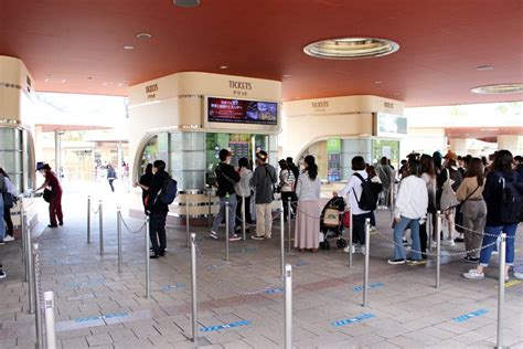 Usj 攻略テク｜当日おすすめの回り方・裏技まとめ 最新 Klookブログ