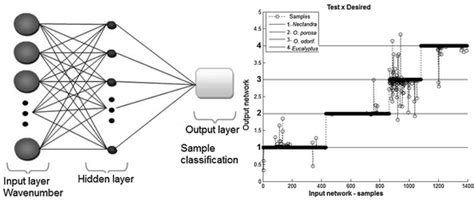 Representation Of Architecture Applied To Network Download Scientific