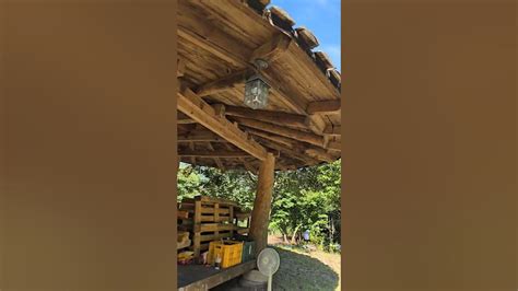 정자주변의 잔디를 깎고 나니 지리산 원두막 남진 잔디 예초작업 Youtube