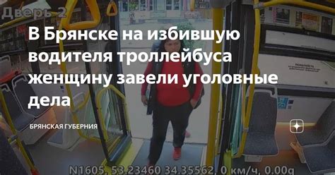 В Брянске на избившую водителя троллейбуса женщину завели уголовные