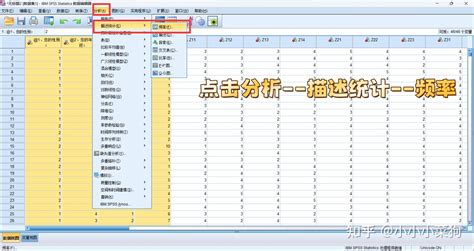 问卷数据分析spss之分类变量描述性统计 知乎