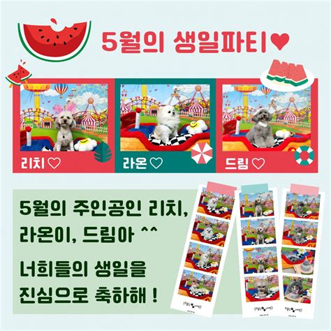 털로덮인친구들 수원 광교점 6월 가정통신문 발행 수원영통용인 애견유치원 털로덮인친구들 광교 본점 News 털로덮인친구들