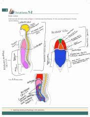Unit 1 Pre Lab Exercise 1 2 2 Pdf Course Hero