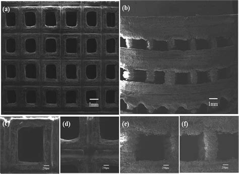 Top View A C And D And Side View B E And F Sem Micrographs For