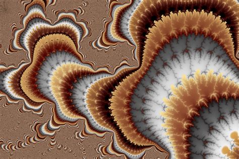 Tree Roots Fractal Image By Sicklyrunt Hd Wallpapers Posters