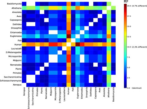 Figure 2 From A Nested Phylogenetic Reconstruction Approach Provides