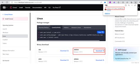 Linux安装consul的两种方式(在线和离线)linux 安装consul Csdn博客 Linux安装consul的两种方式(在线和离线)linux 安装consul Csdn博客