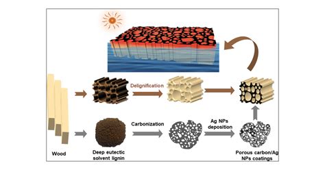 All Biomass Based Solar Steam Generator With Deep Eutectic Solvent
