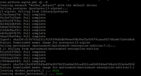 Error While Attempting To Convert Servicemattermostreadonly To