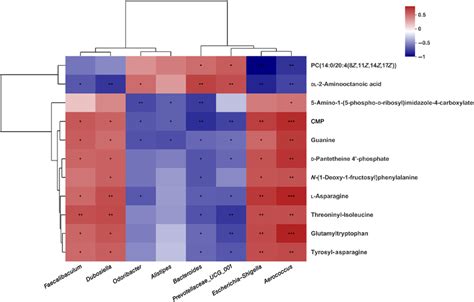 Spearmans Rho Nonparametric Correlation Analysis Between 11 Liver