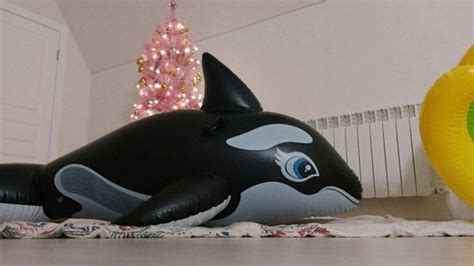 Alla Hotly Rides On A Rare Squeaky Inflatable Whale And Lets All The Air Out Of It Enjoying It