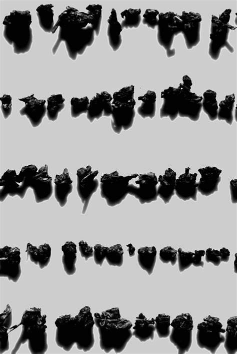 Lao Ming X 2011 X 3 Wojciech Bońkowskiwojciech Bońkowski