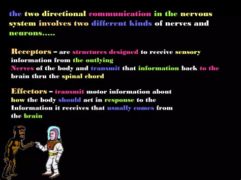 Nervous System Ppt 1 Ppt