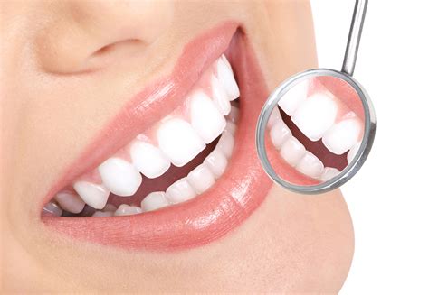 Collection Of Teeth Png Hd Pluspng
