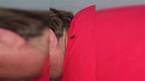 Viral Video Horrifying Moment Live Spider Is Removed From Mans Ear Viral Videos News Times Now