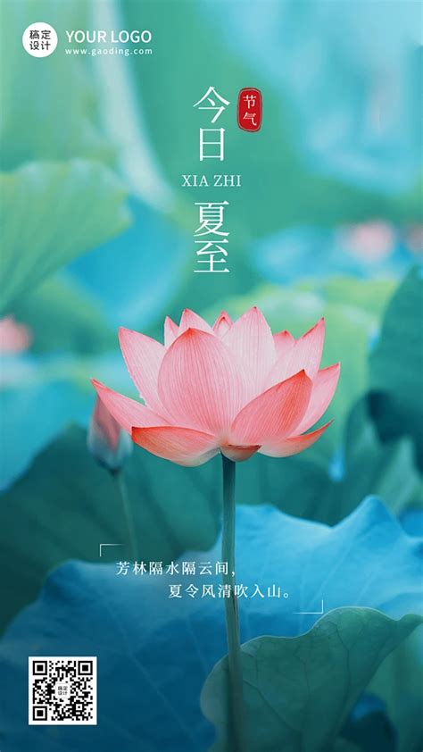 夏至节气祝福排版手机海报素材 花瓣网