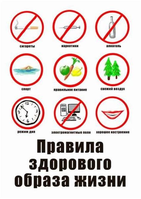 Плакат Здоровый Образ Жизни скачать - coffeemediaget
