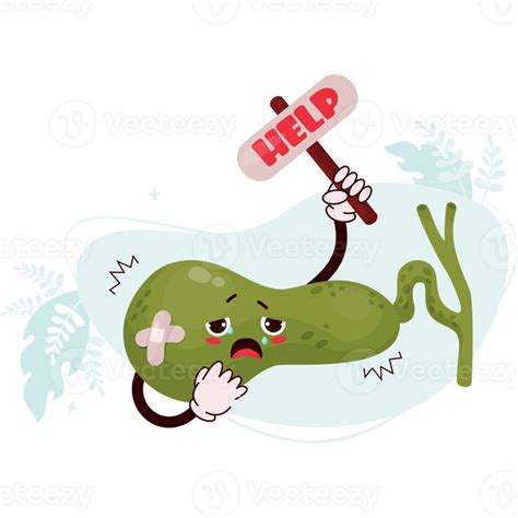 Cartoon Gallbladder