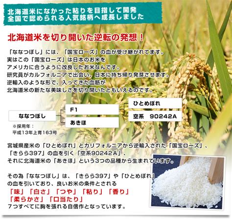 【楽天市場】令和4年産 北海道産 ななつぼし 10キロ お米 北海道米：産直だより