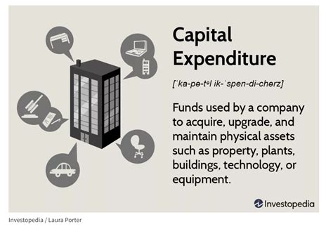 Capital Expenditure By Ngan Ha Patient Celery
