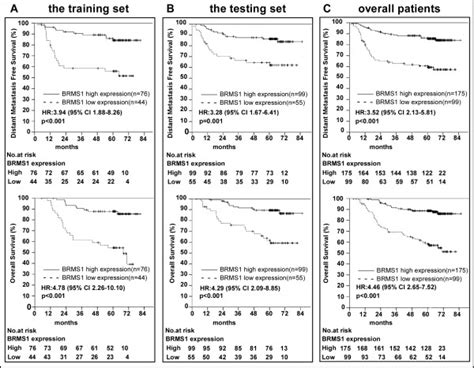 Survival Analysis Of Brms1 Expression In The Training Set Testing Set