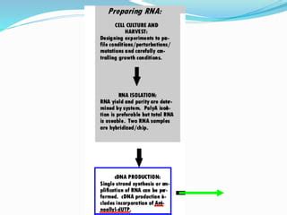 DNA SEQUENCING Pptx Chemistry Science