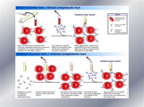 Serological Tests