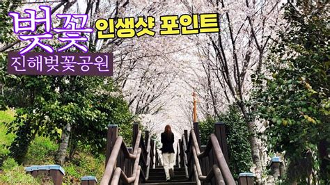 진해 벚꽃 인생샷 포인트 벚꽃공원