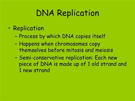 Dna And Rna Ppt Biological Sciences Science