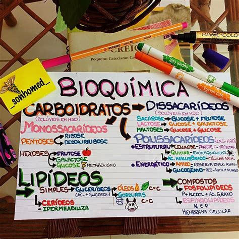 Bioquímica resumos e mapas mentais Infinittus