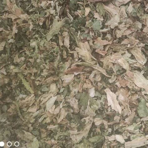 خرید و قیمت برگ کاهو خشک 100 گرم افزایش هوش رفع سردرد میگرنی تصفیه خون ترب