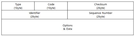 Icmp Ping 패킷의 구조