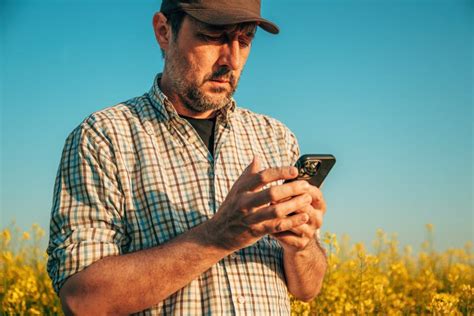 Smart Farming Concept Farm Worker Using Mobile Smartphone App In Cultivated Canola Field Stock