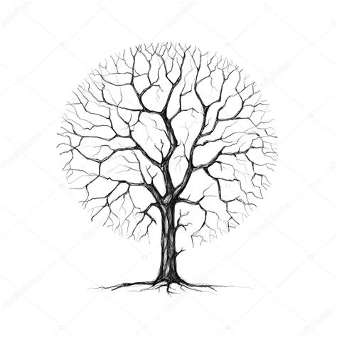 Images Tree In Winter Drawing A Tree Winter Drawing Stock Photo